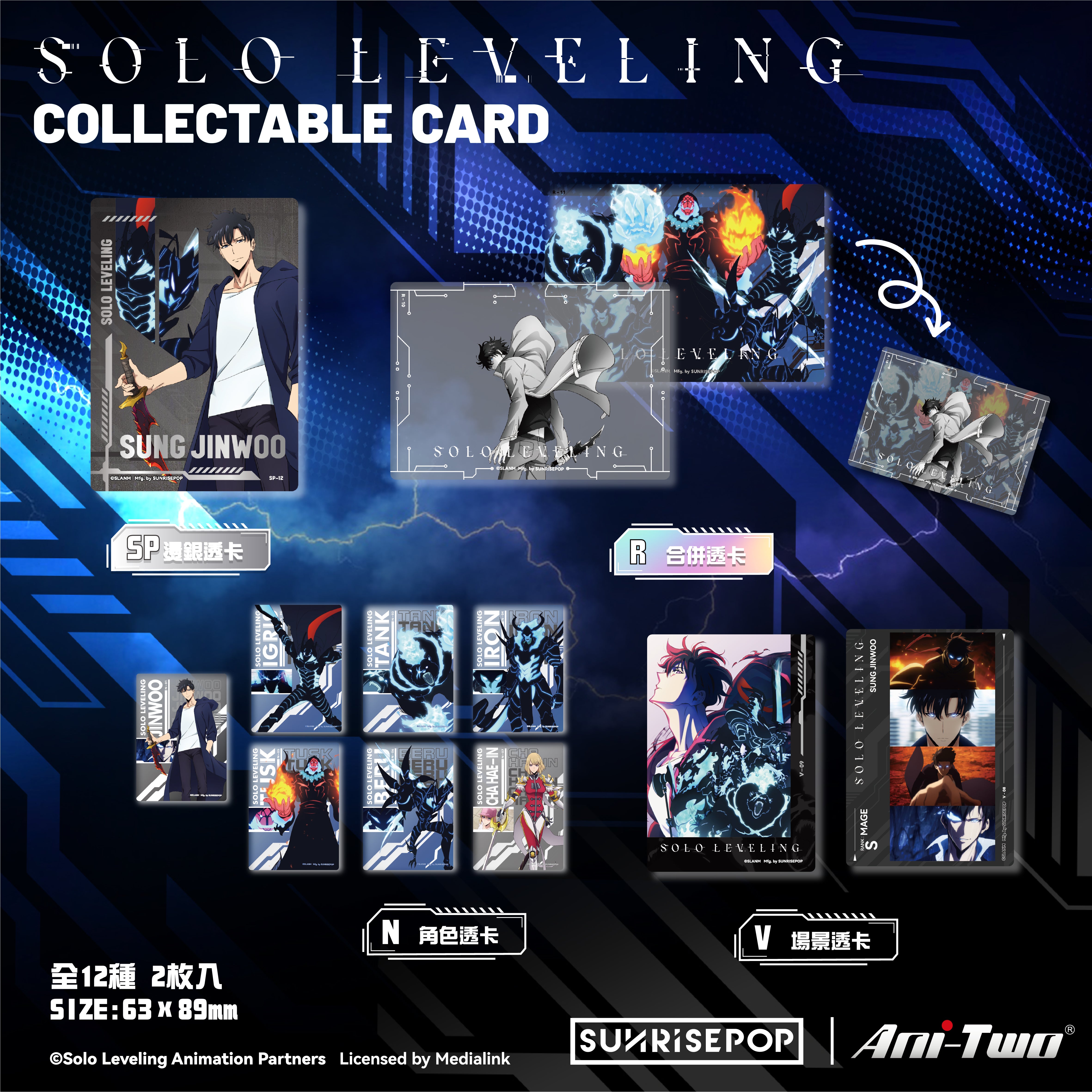 Solo Leveling - Collectible Card - 12 Styles (2 Styles/Pcs)《PRE-ORDER ...